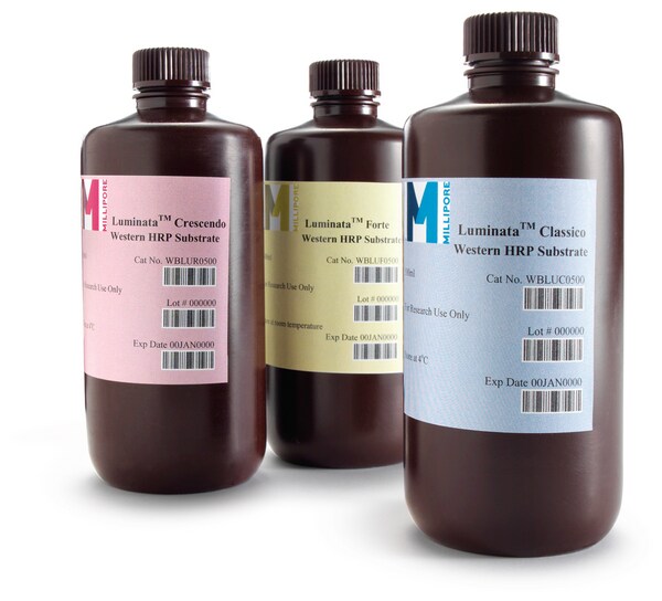 Immobilon Crescendo Western HRP substrate, 500 mL | VNK Supply & Services